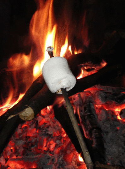 Campfire GIF - Find on GIFER