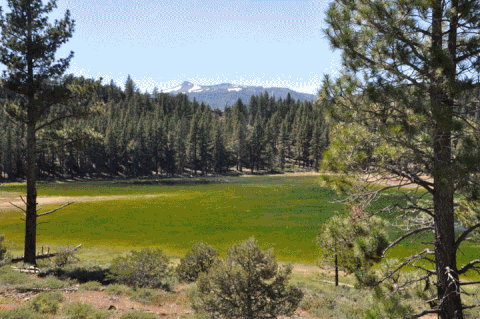 Highway GIF - Find on GIFER