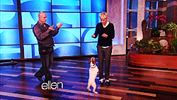 Dog ellen degeneres soon GIF - Find on GIFER