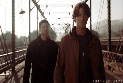 Pilot GIF - Find on GIFER