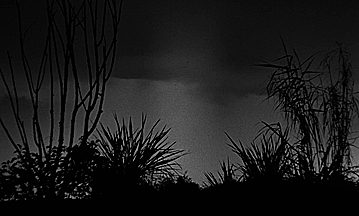 User submitted GIF - Find on GIFER