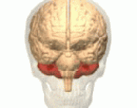 Deep learning GIF - Find on GIFER