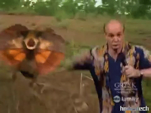 Line GIF - Find on GIFER