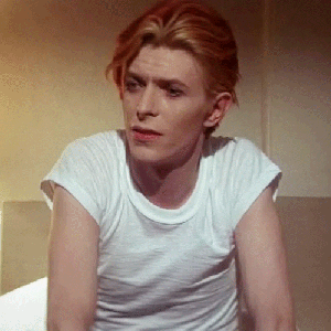 1970s GIF - Find on GIFER