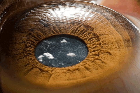 Eye made by abvh art design GIF - Find on GIFER