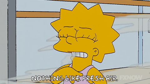 GIF lisa simpson episode 15 season 19 - animated GIF on GIFER