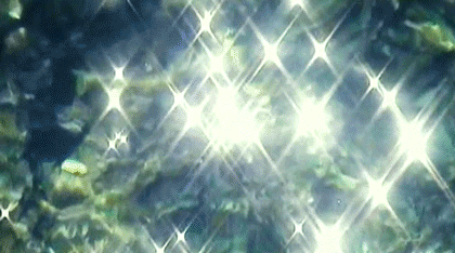 GIF sunlight shimmer sun - animated GIF on GIFER - by Conjuthris