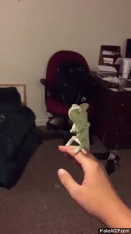 GIF likes - animated GIF on GIFER