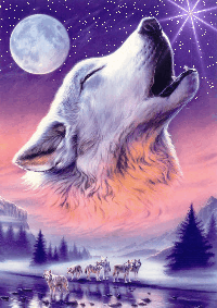 Wolf GIF - Find on GIFER
