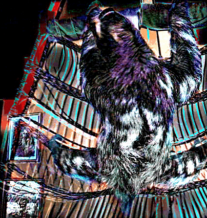 Dump GIF - Find on GIFER