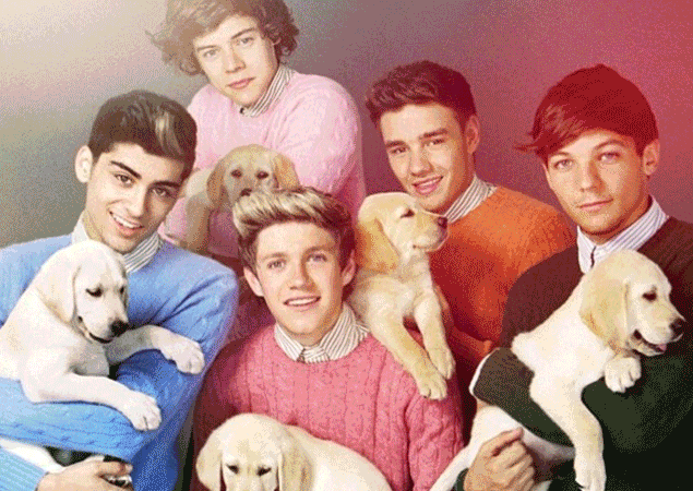 GIF cute boy - animated GIF on GIFER