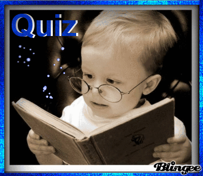 Quiz GIF - Find on GIFER