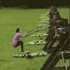 GIF watermelon - animated GIF on GIFER