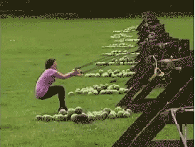 Watermelon GIF - Find on GIFER