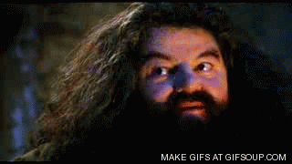 Mr Miyagi Nod Gif
