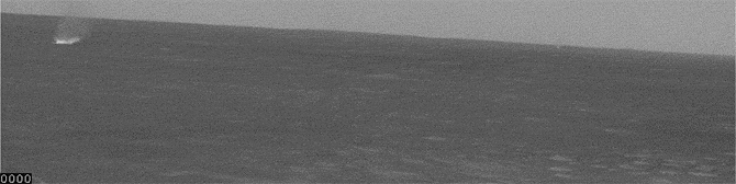 Curiosity GIF - Find on GIFER