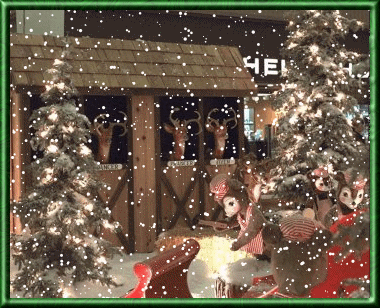 GIF scene - animated GIF on GIFER