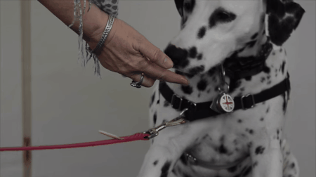 Toothpaste GIF - Find on GIFER