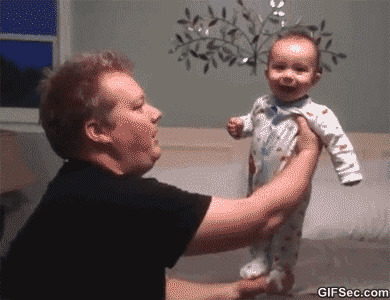 Collection GIF - Find on GIFER