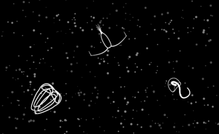 Plancton Gif Correto Plankton GIFs On GIPHY Be Animated