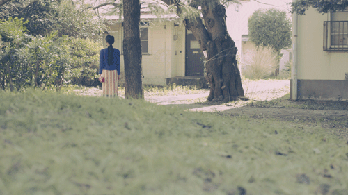 Movies tree circle GIF - Find on GIFER