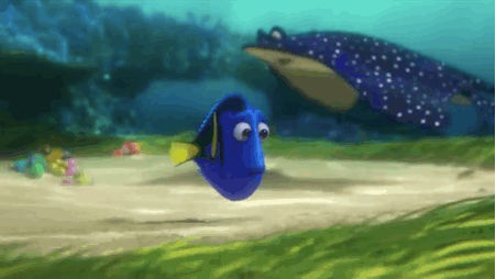 Dory GIF - Find on GIFER