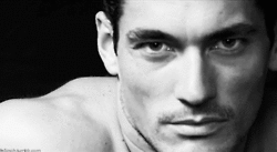 Male model GIF - Find on GIFER