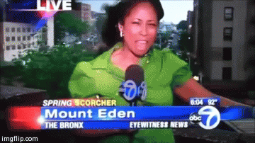 Windy GIF - Find on GIFER