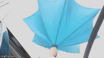 Umbrella GIF - Find on GIFER