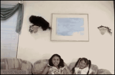 Fail 2013 sa modelleri GIF - Find on GIFER