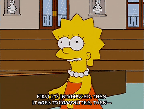 Lisa simpson episode 9 season 14 GIF - Find on GIFER