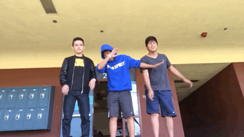 GIF dab teacher hits - animated GIF on GIFER