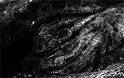 Lotr smaug movie GIF - Find on GIFER