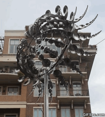 GIF amazing - animated GIF on GIFER
