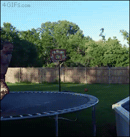 Hay GIF - Find on GIFER