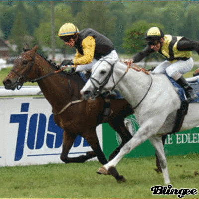 Horse racing GIF on GIFER - by Sagis