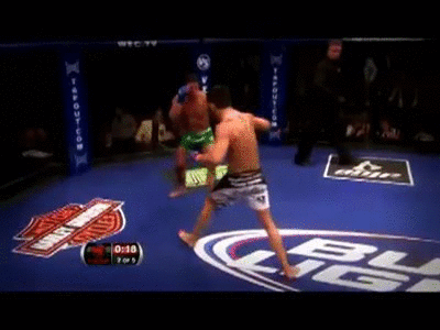 Defense GIF on GIFER - by Kagalmaran