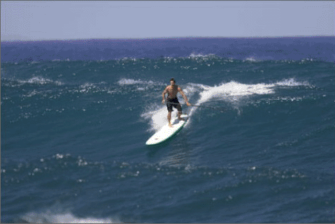 Surfing GIF - Find on GIFER