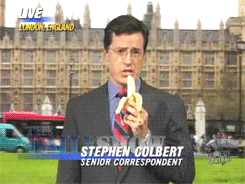 GIF clip colbert full - animated GIF on GIFER