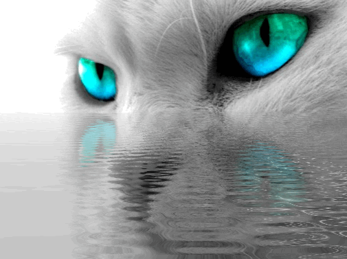 Floating GIF - Find on GIFER