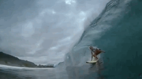 GIF surfer - animated GIF on GIFER