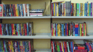 GIF newton le willows library animation books - animated GIF on GIFER