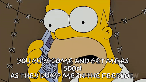 GIF homer simpson episode 17 season 19 - animated GIF on GIFER