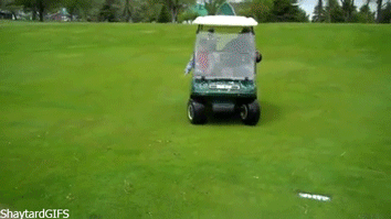 Golf GIF on GIFER - by Delalak