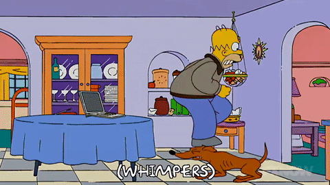 Homer simpson episode 9 season 19 GIF - Find on GIFER