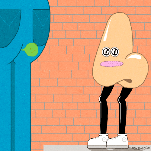 GIF smell farts fox - animated GIF on GIFER