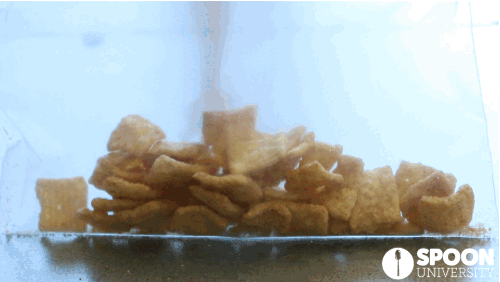 Waffle GIF - Find on GIFER