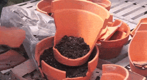 GIF pot - animated GIF on GIFER
