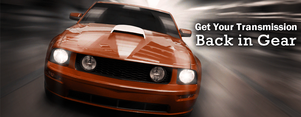 GIF location - animated GIF on GIFER