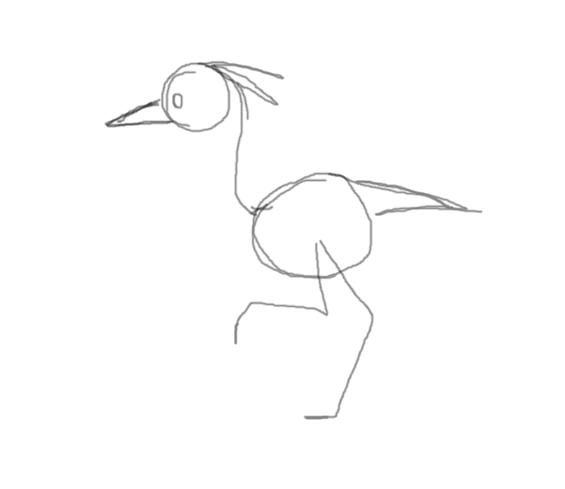 Bird GIF - Find on GIFER